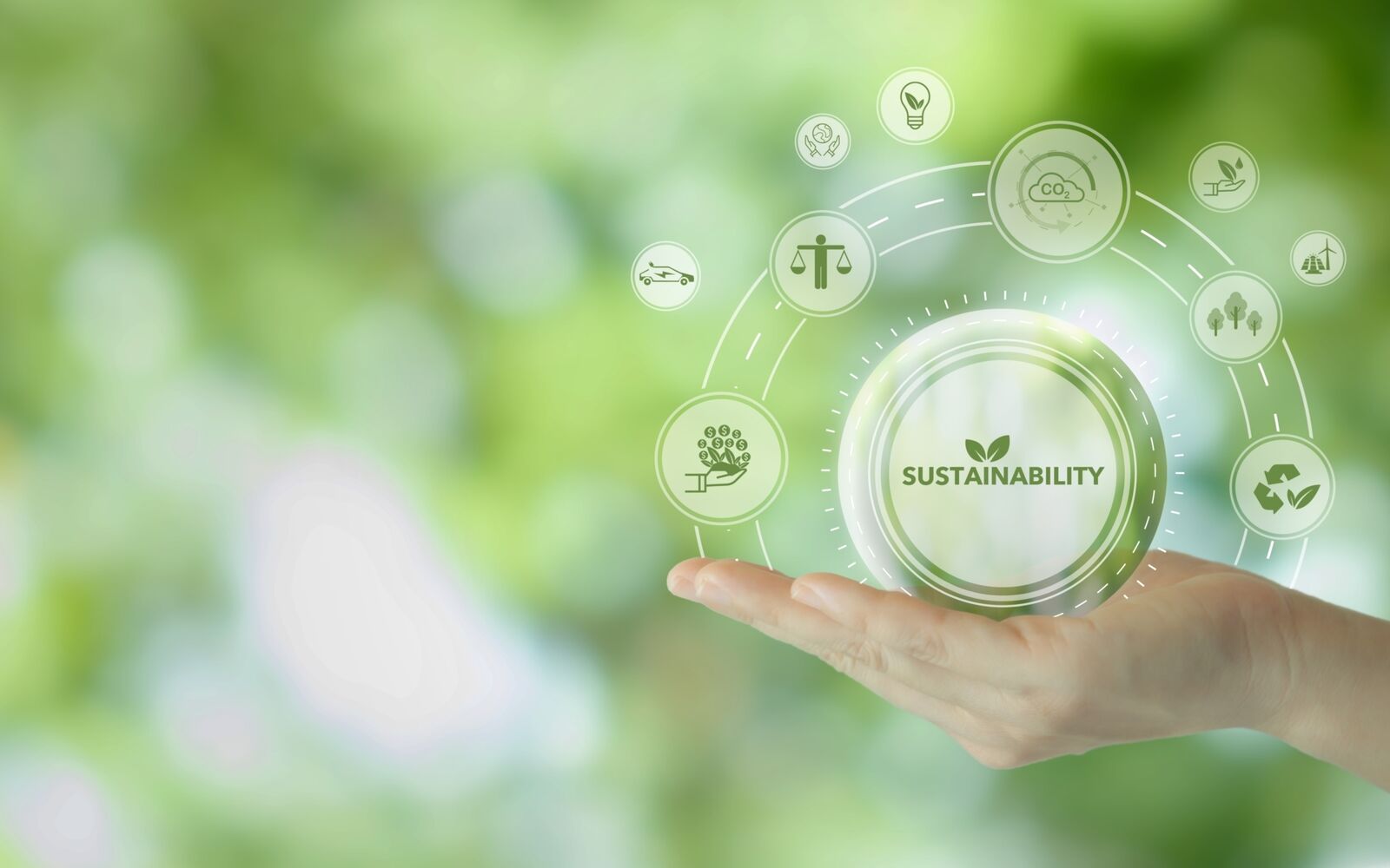 Carbon Assessment Reports | Plowman Craven